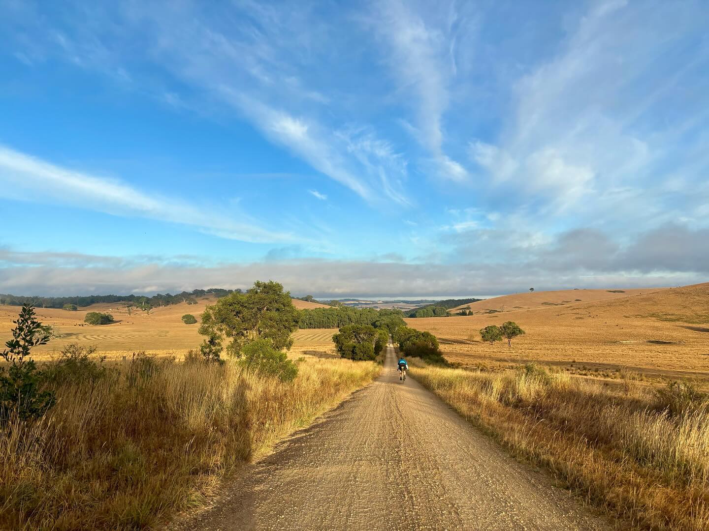 The Border Run 2024 – Curve Cycling
