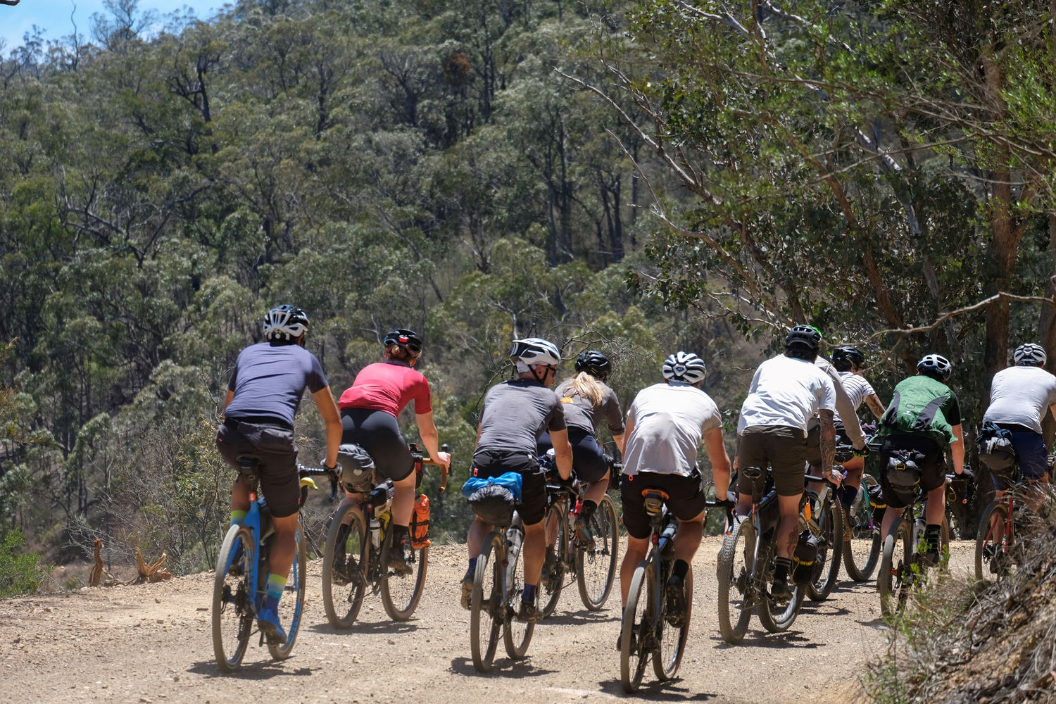 Flashpacking Victorian Alpine Region – Curve Cycling