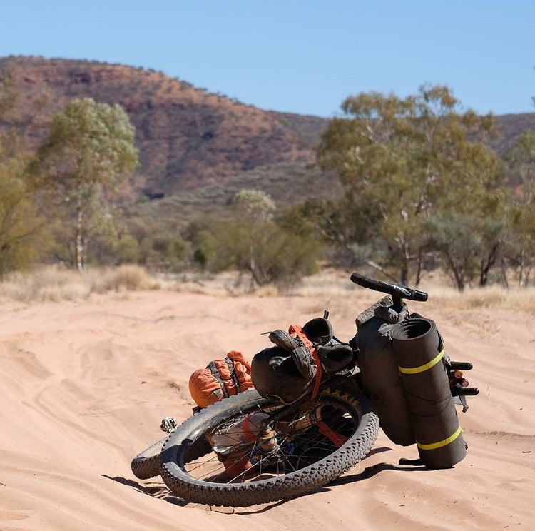 GMX+ Titanium Frameset – Curve Cycling