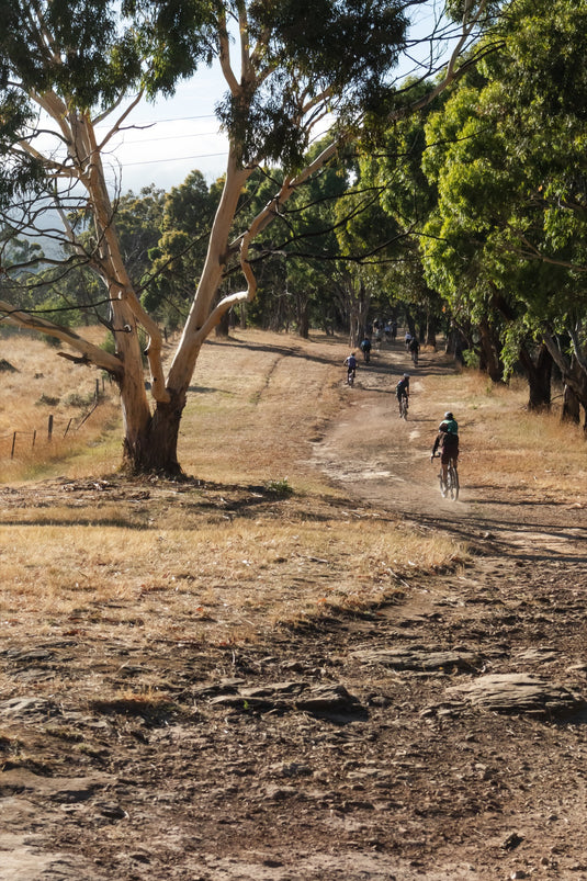 Curve Cycling | Titanium And Steel Road & Gravel Bikes & Carbon Wheels