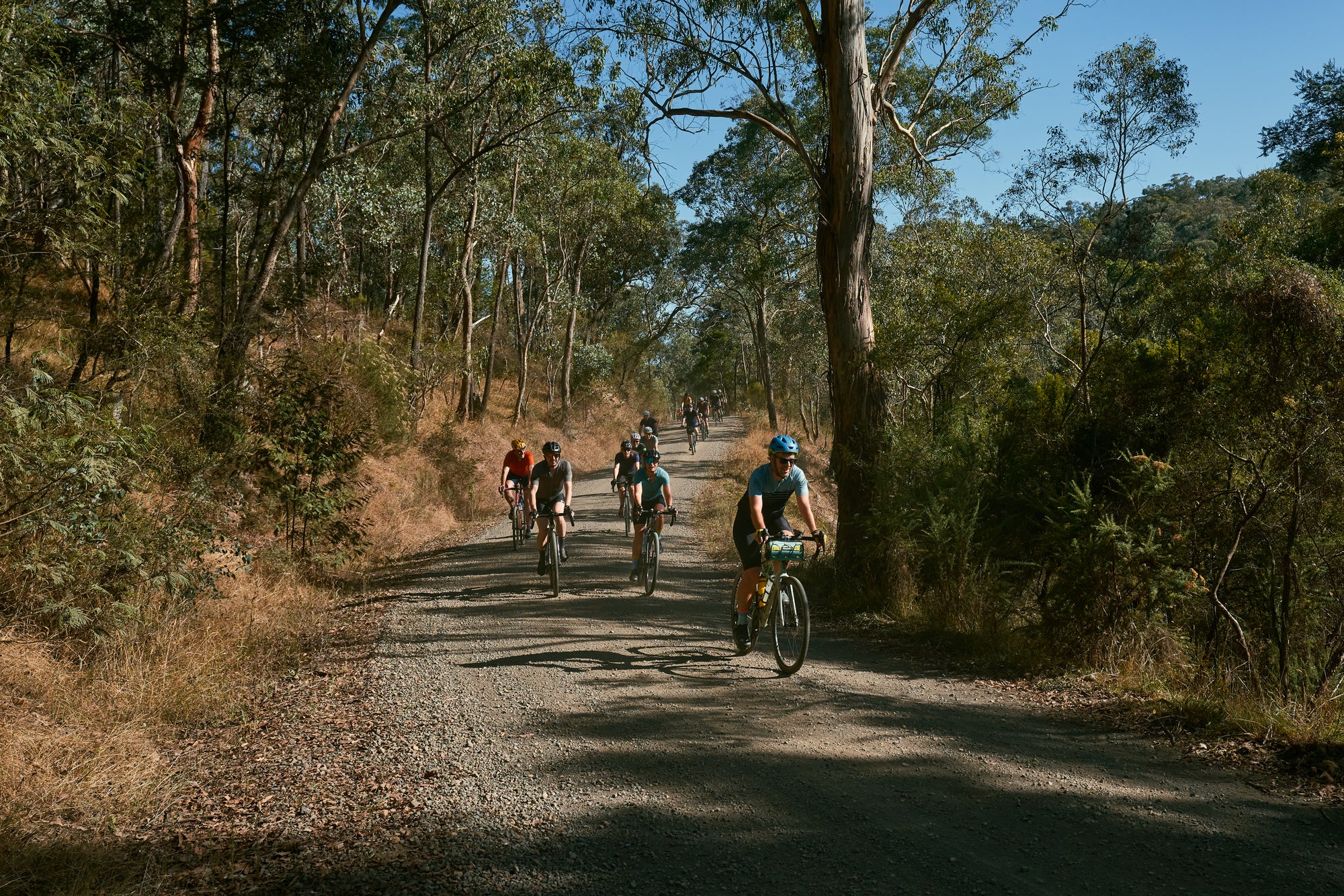 Curventure Holistic – Curve Cycling