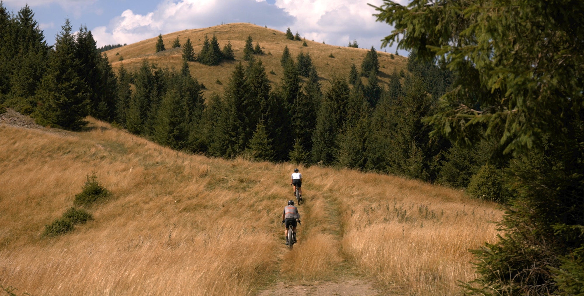 Curve Cycling | Titanium And Steel Road & Gravel Bikes & Carbon Wheels